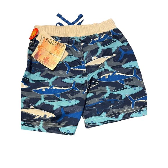 Big Chill | Swim | Big Chill Boy Swimsuit Set Trunks Rash Guard Shirt ...
